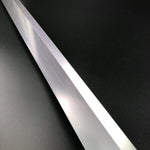 Light Reflector 25mm Vega95 for PLS33 and RPL55 for Sale